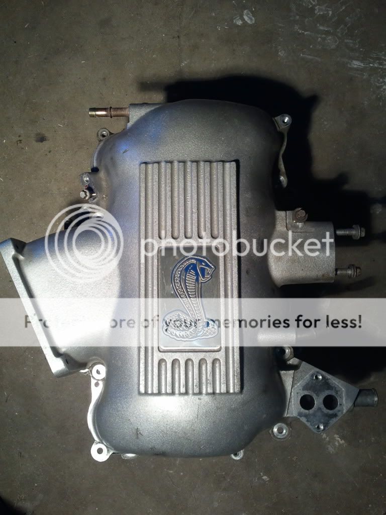 For Sale - 96-98 Cobra Intake Manifold | Ford Mustang Forums