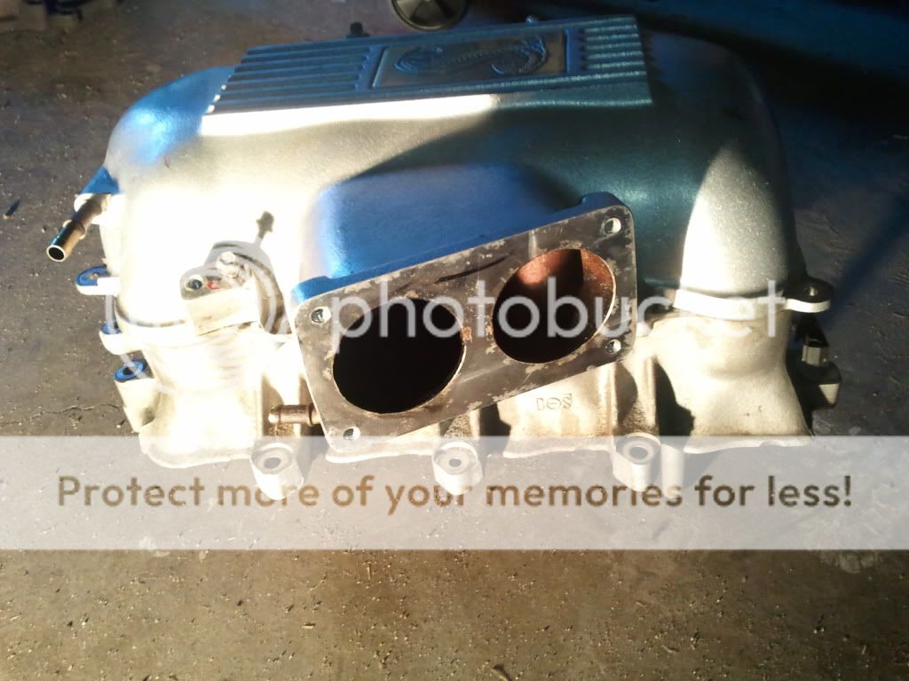For Sale - 96-98 Cobra Intake Manifold | Ford Mustang Forums