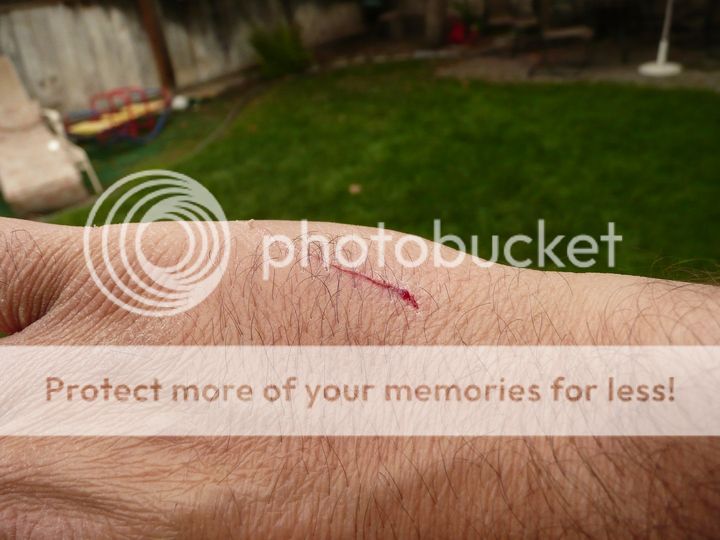 Ok so seriously... You ever cut yourself by just accidentally touching ...