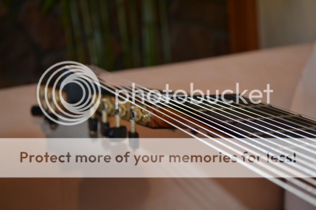 a 13 string guitar in Baroque tuning - Delcamp Classical Guitar Forum